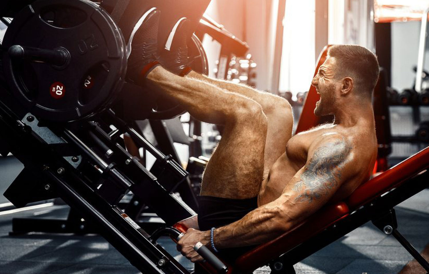 Assassins Gym | Combat • Fitness • Gym